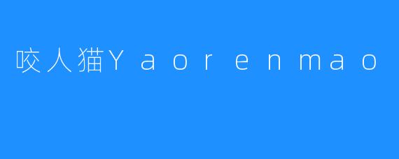 咬人猫Yaorenmao：网络红猫的背后故事 _ asmr